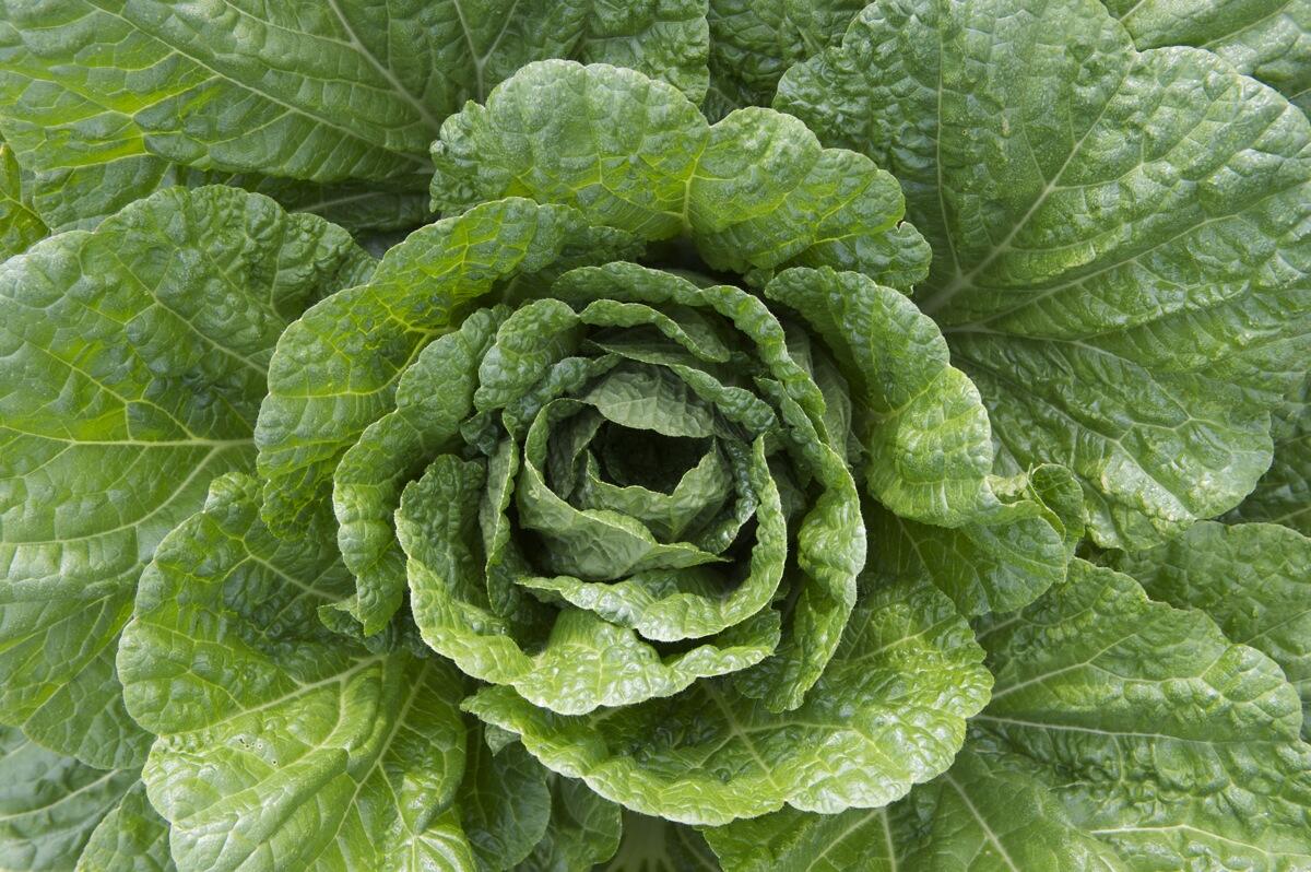 [풍경] 시골풍경 1/2 - DPrime