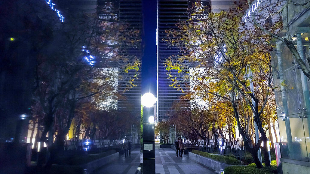 [G4] 가을밤의 데칼코마니 - DVDPrime