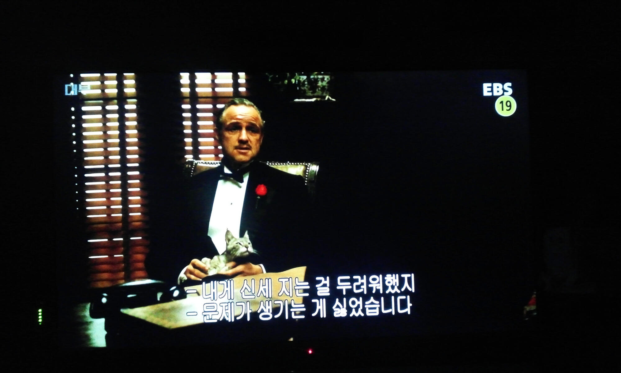 EBS 대부 - DVDPrime