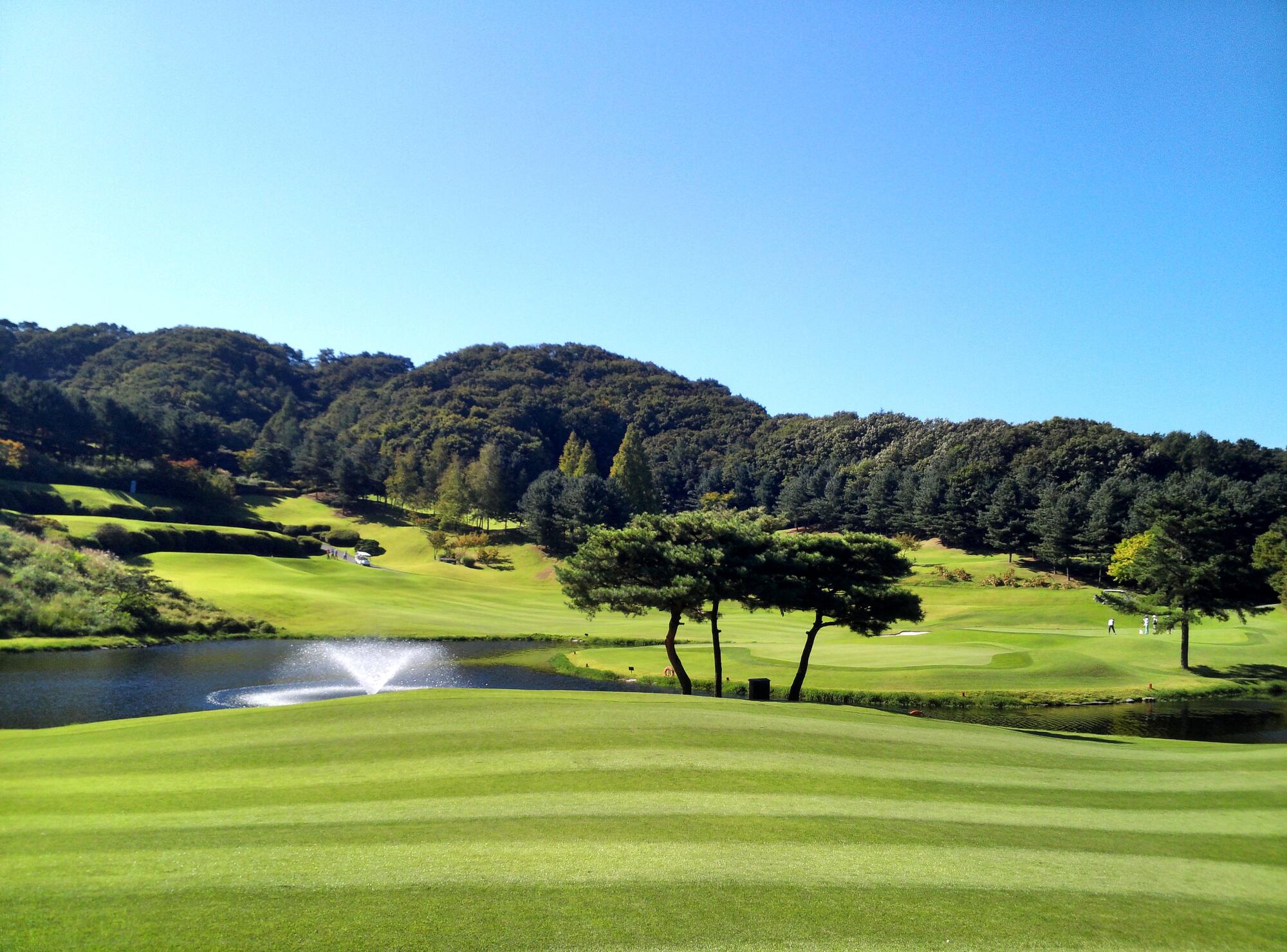 아시아나cc 후기 - DVDPrime