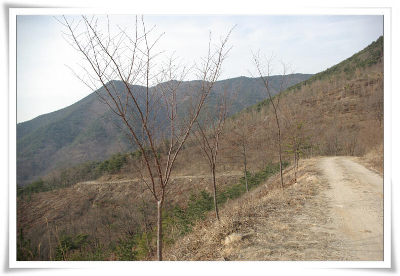 [MTB] 임도사진 - DVDPrime