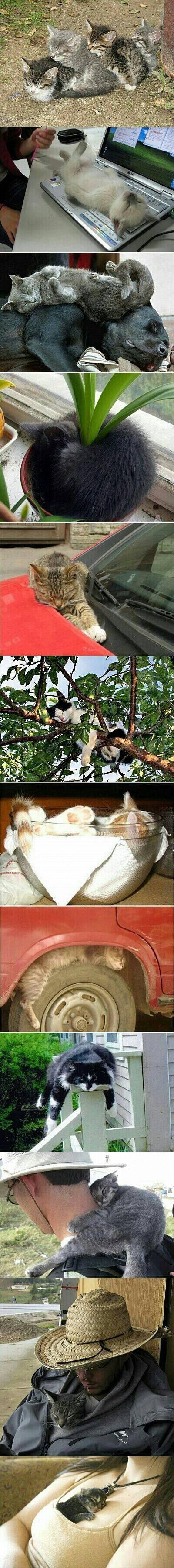 [dpⓘ] 토요일입니다. - DVDPrime