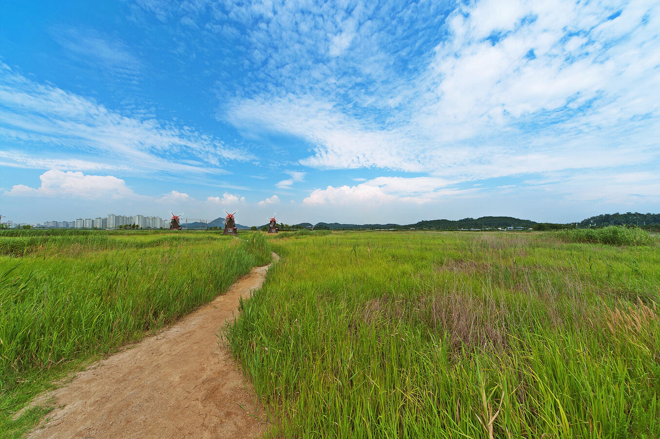 [사진] 목마름 vs 싱그러움 - DVDPrime