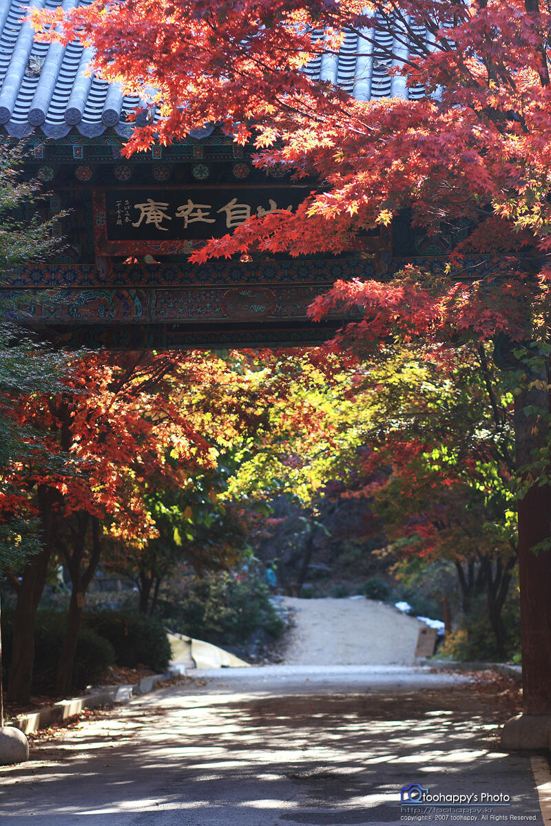 [사진출사] 우리 붉게 물들어요. (2012/10/28) - DVDPrime