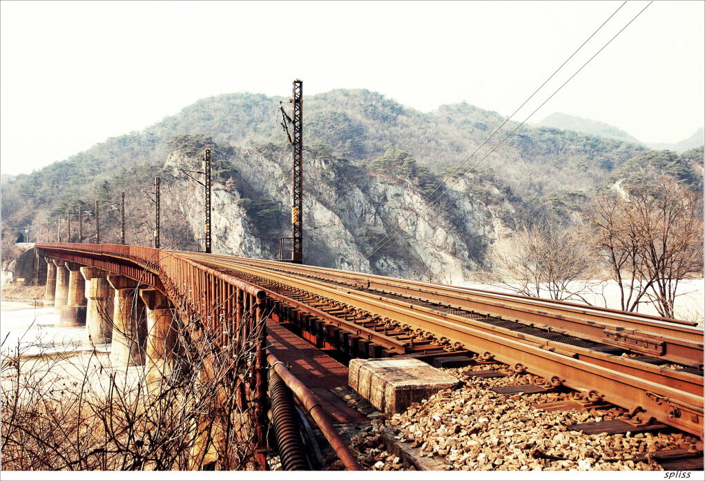 [DPⓐ] 석류는어떤 맛인가요?^^ - DVDPrime