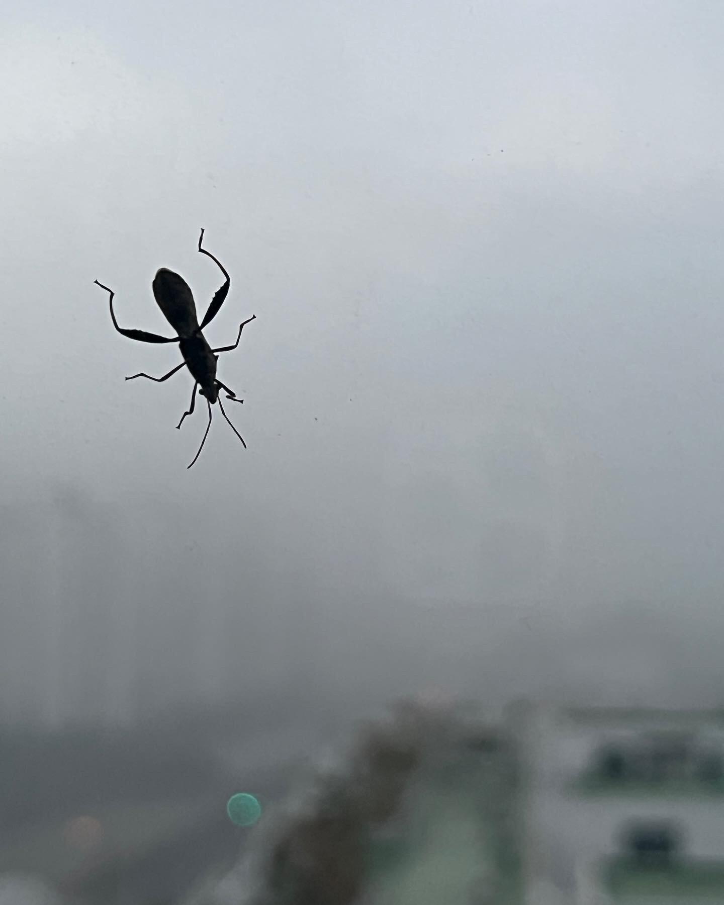 미스트 찍고 있습니다 - DPrime