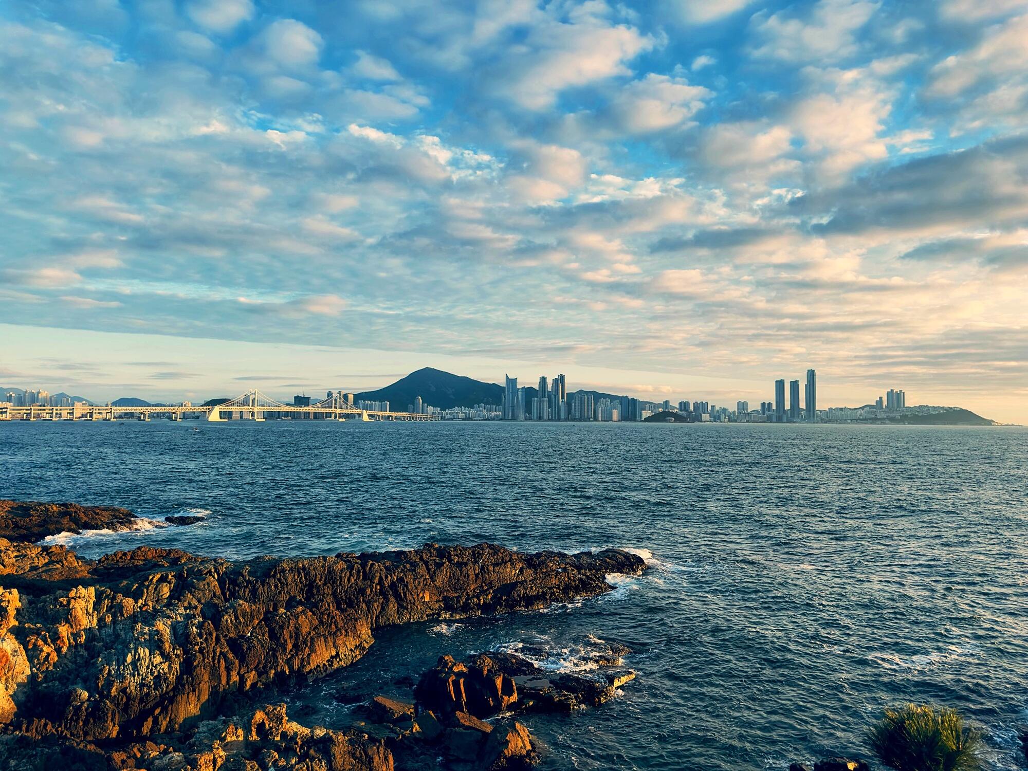 거북손 버터구이~ - DPrime