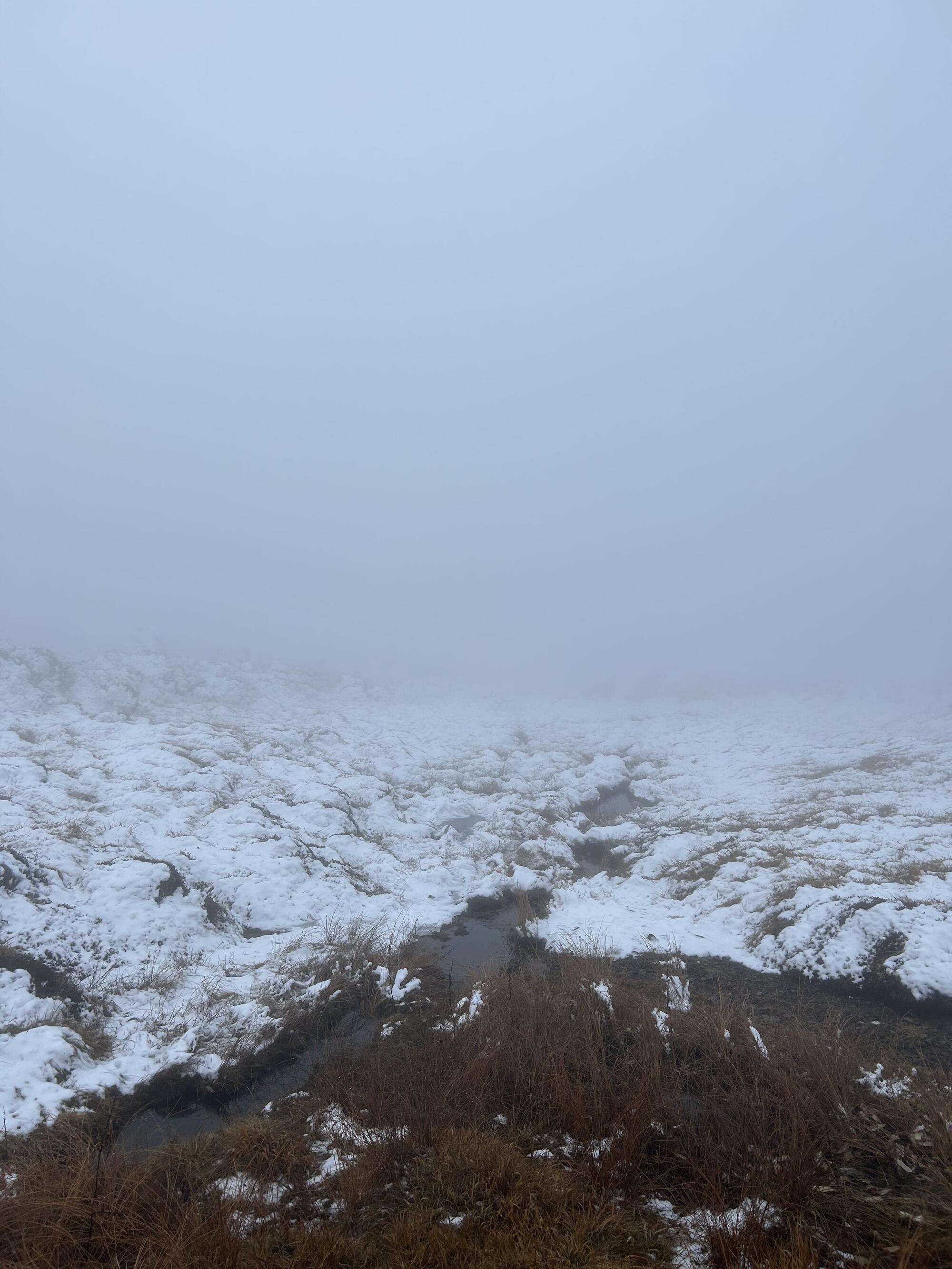 한라산 윗세오름 첫눈 - DPrime