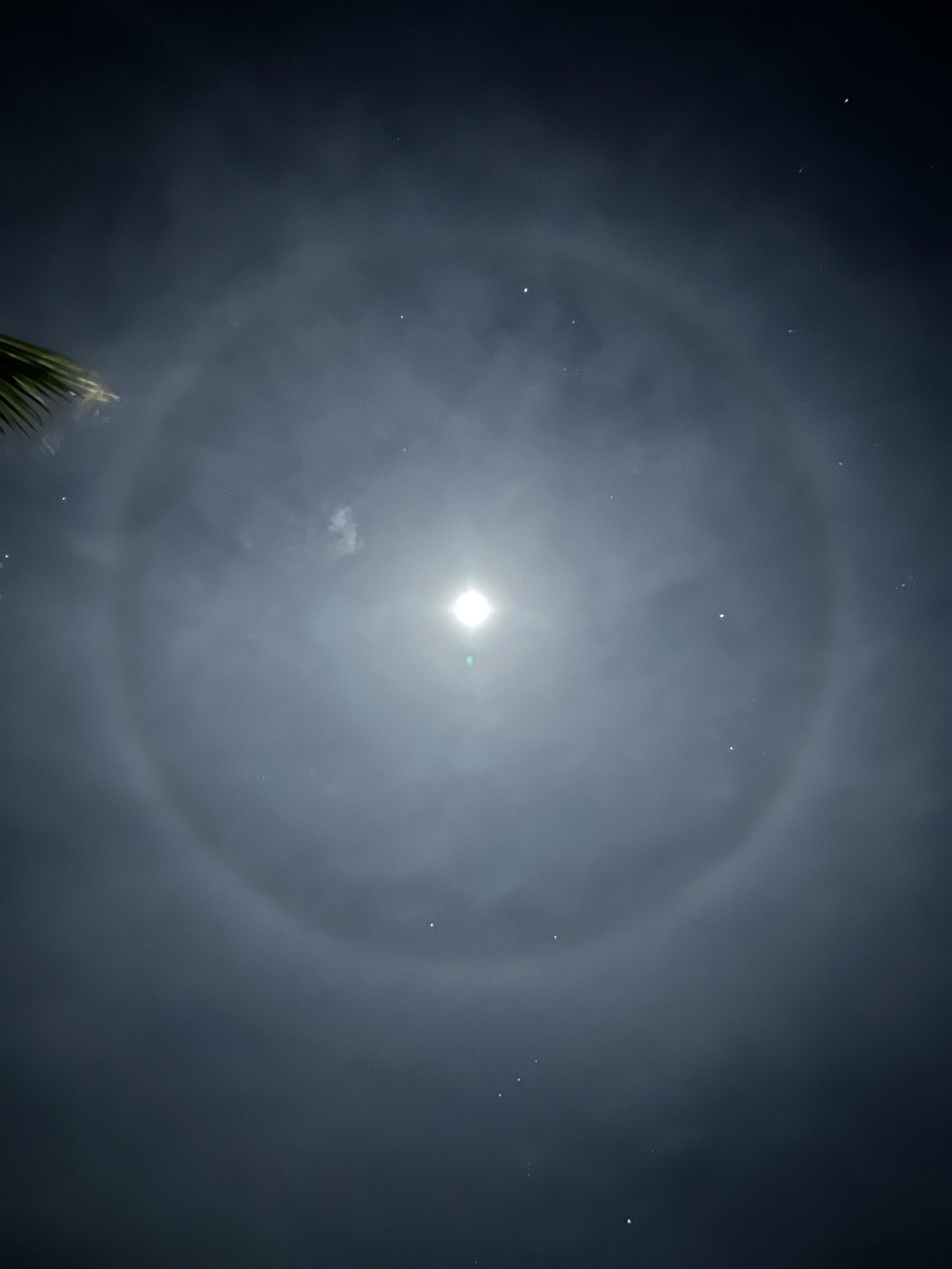 달무리… - DPrime