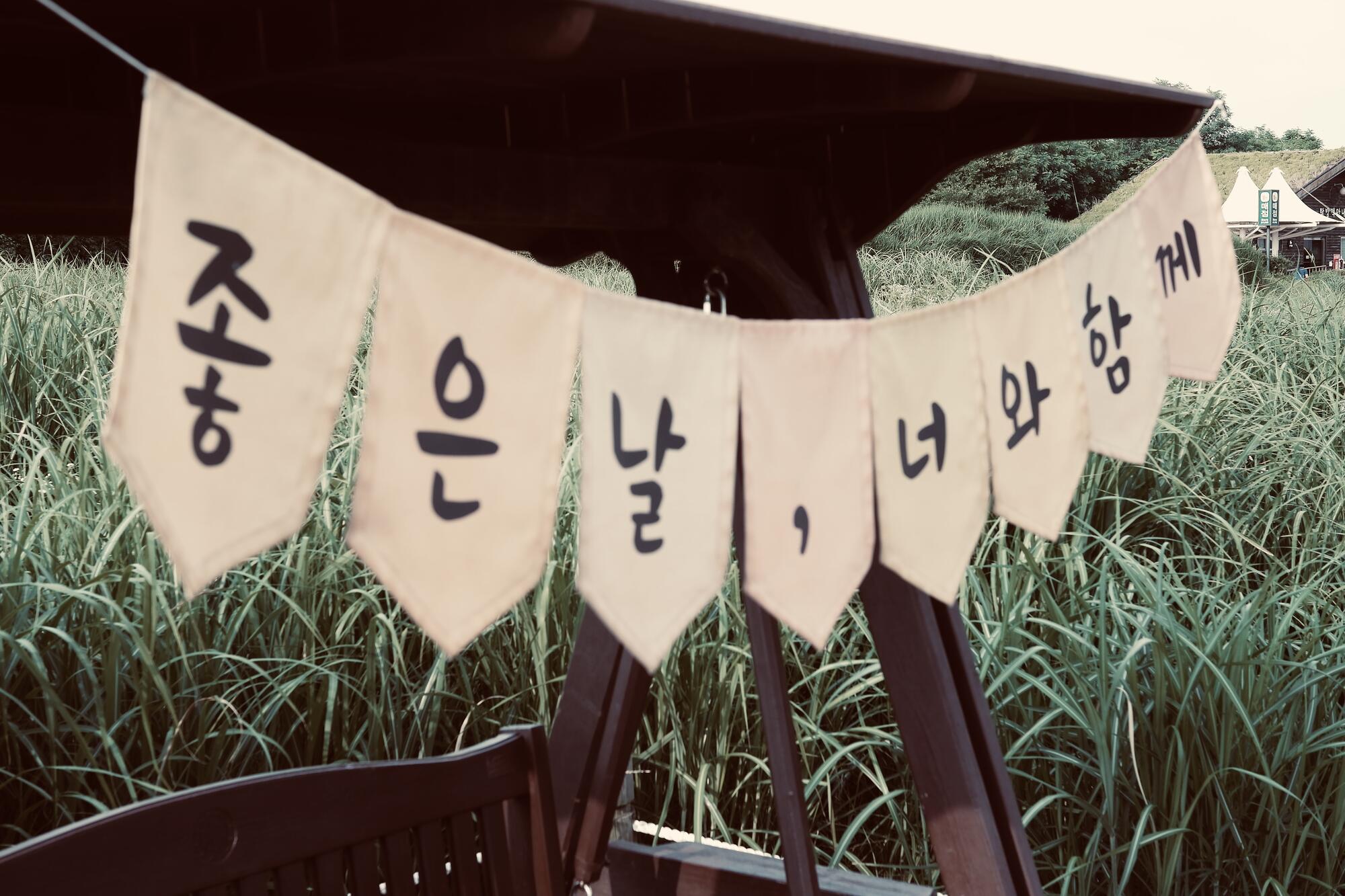 상암동 문화비축기지 ~ 하늘공원 사진들 - DVDPrime