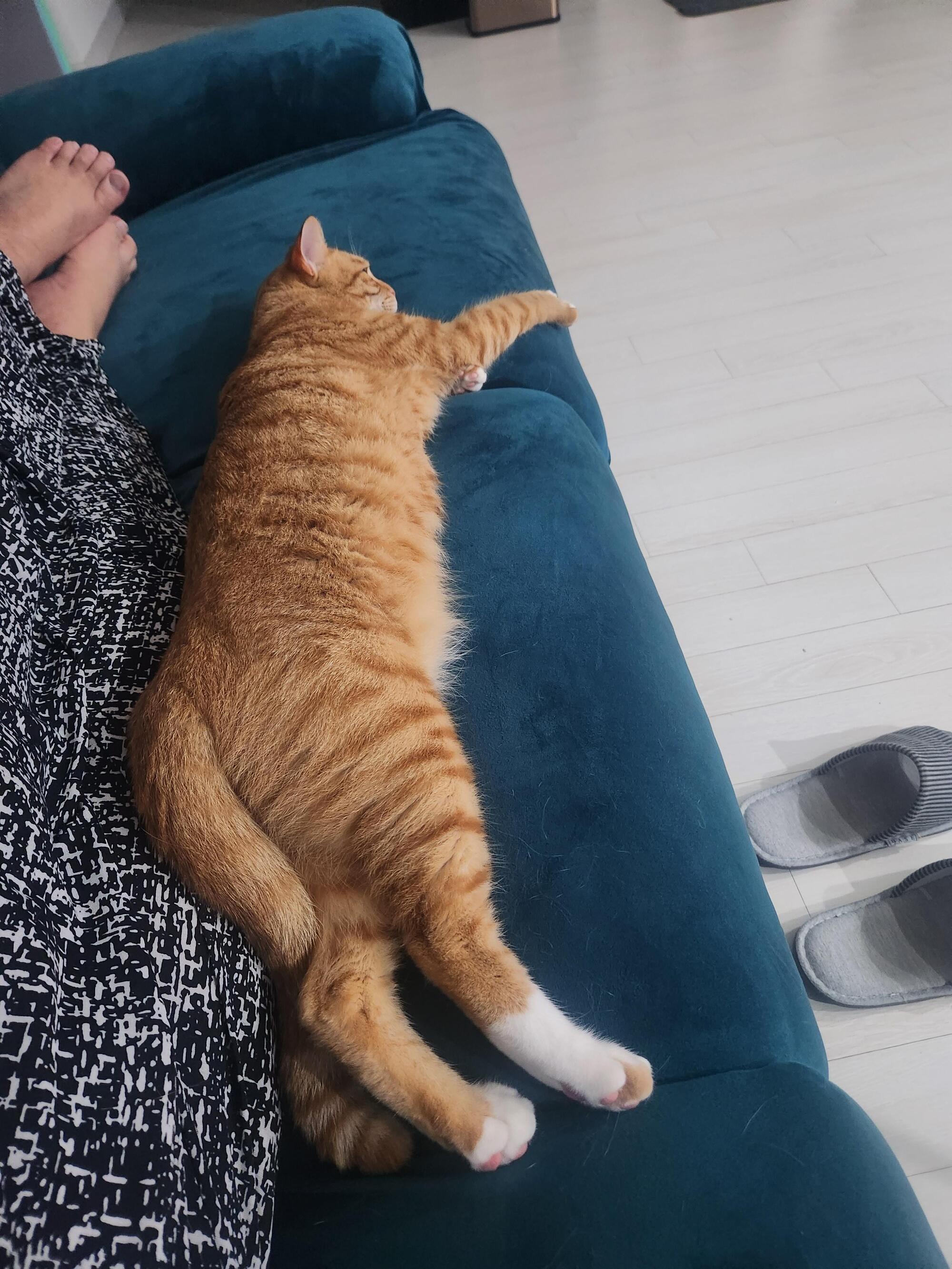 오랜만에 룽지근황 - DPrime