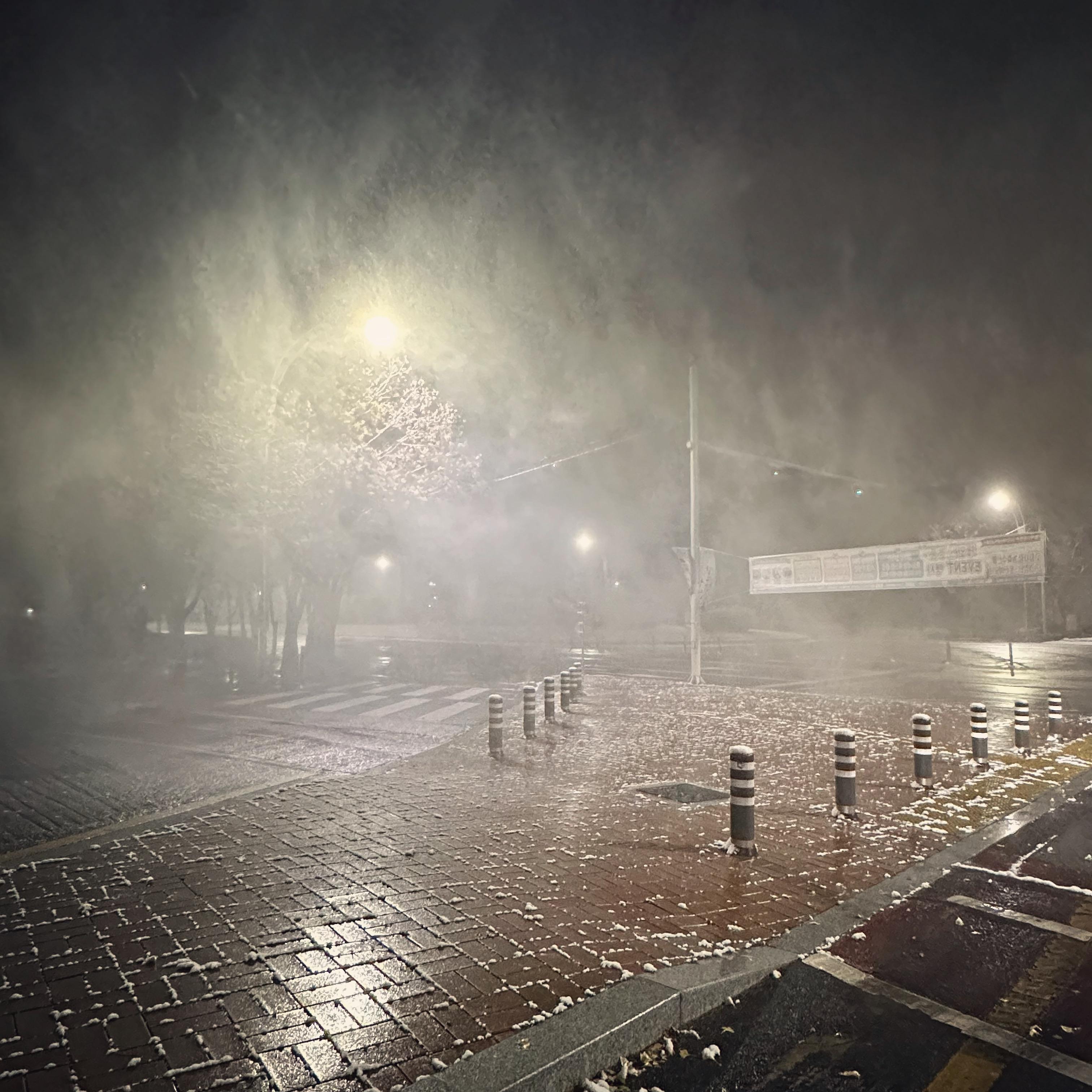 대구도 눈 많이 오네요.jpg - DVDPrime