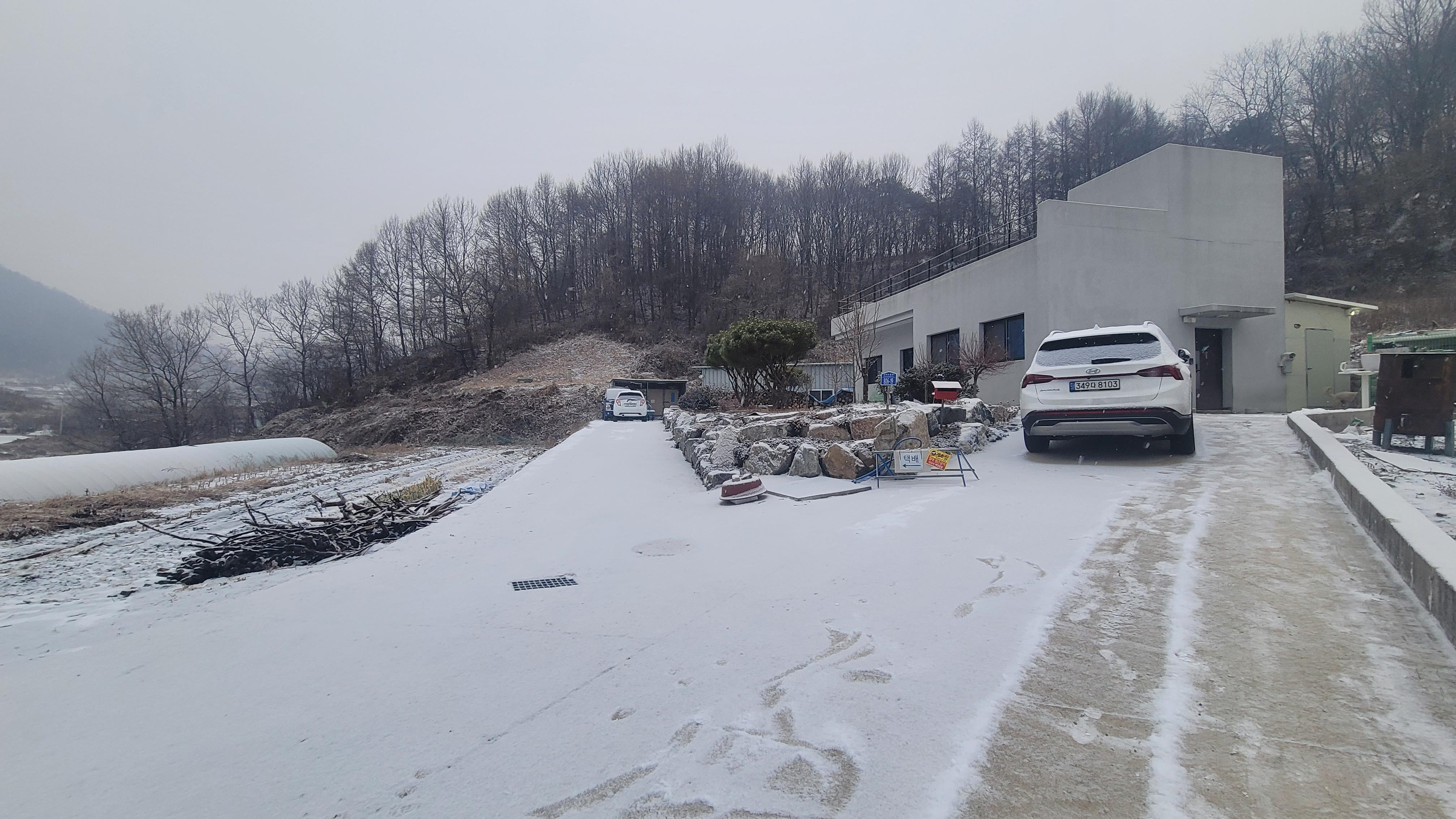 하하하하 .. 눈내리네요 - DPrime