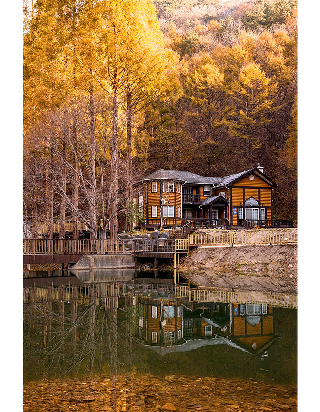 [풍경사진12장] 가을에 담은 사진들.. - DPrime