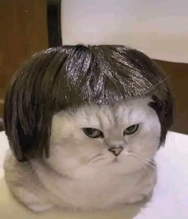 테일러 스위프트 고양이 재산 - DVDPrime