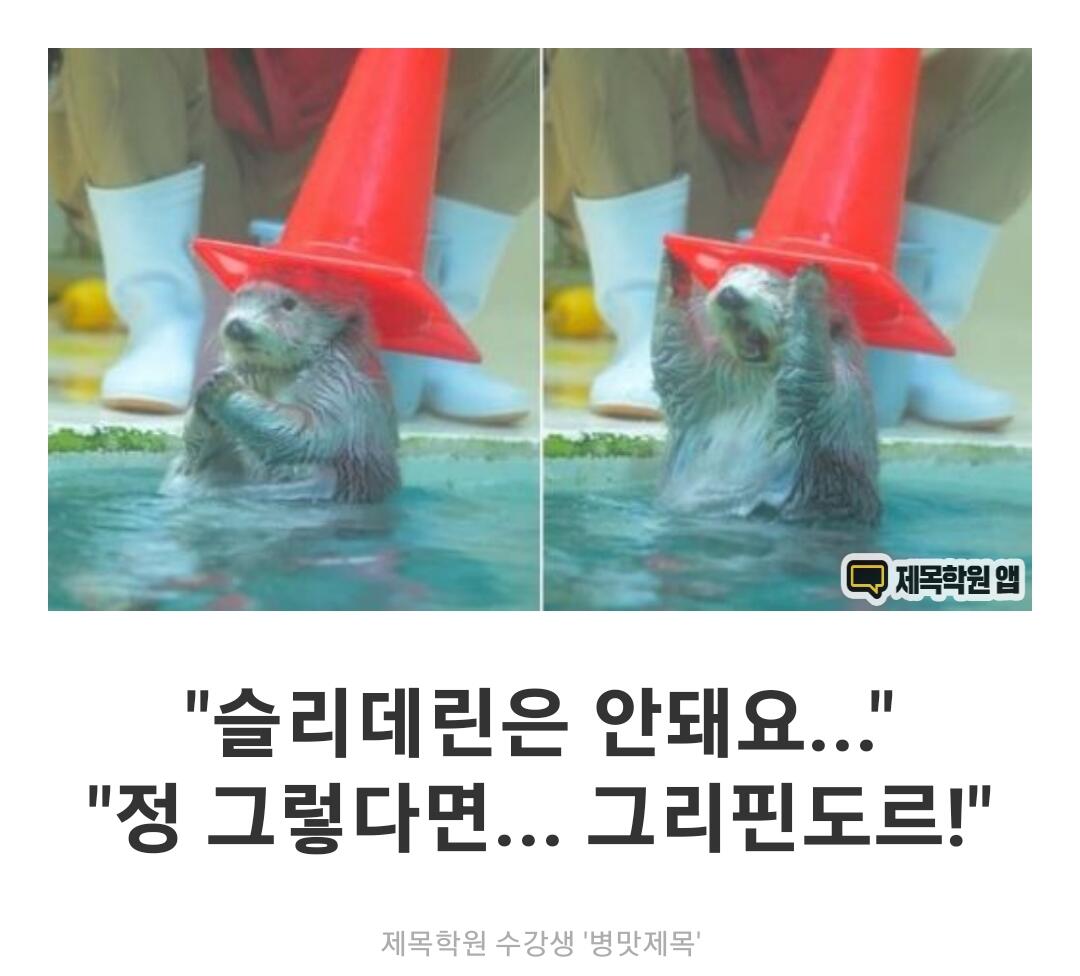 제목학원 - DVDPrime