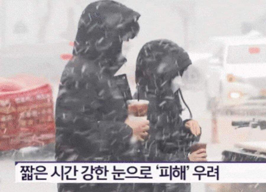 얼죽아 레전드 - DPrime