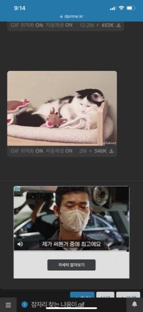 잠자리 드는 냐옹이.gif - DVDPrime