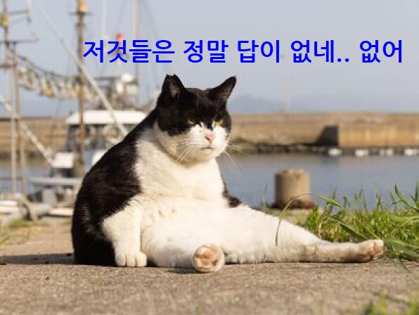 남자친구를 보면 가끔 눈물이 나요 - DPrime