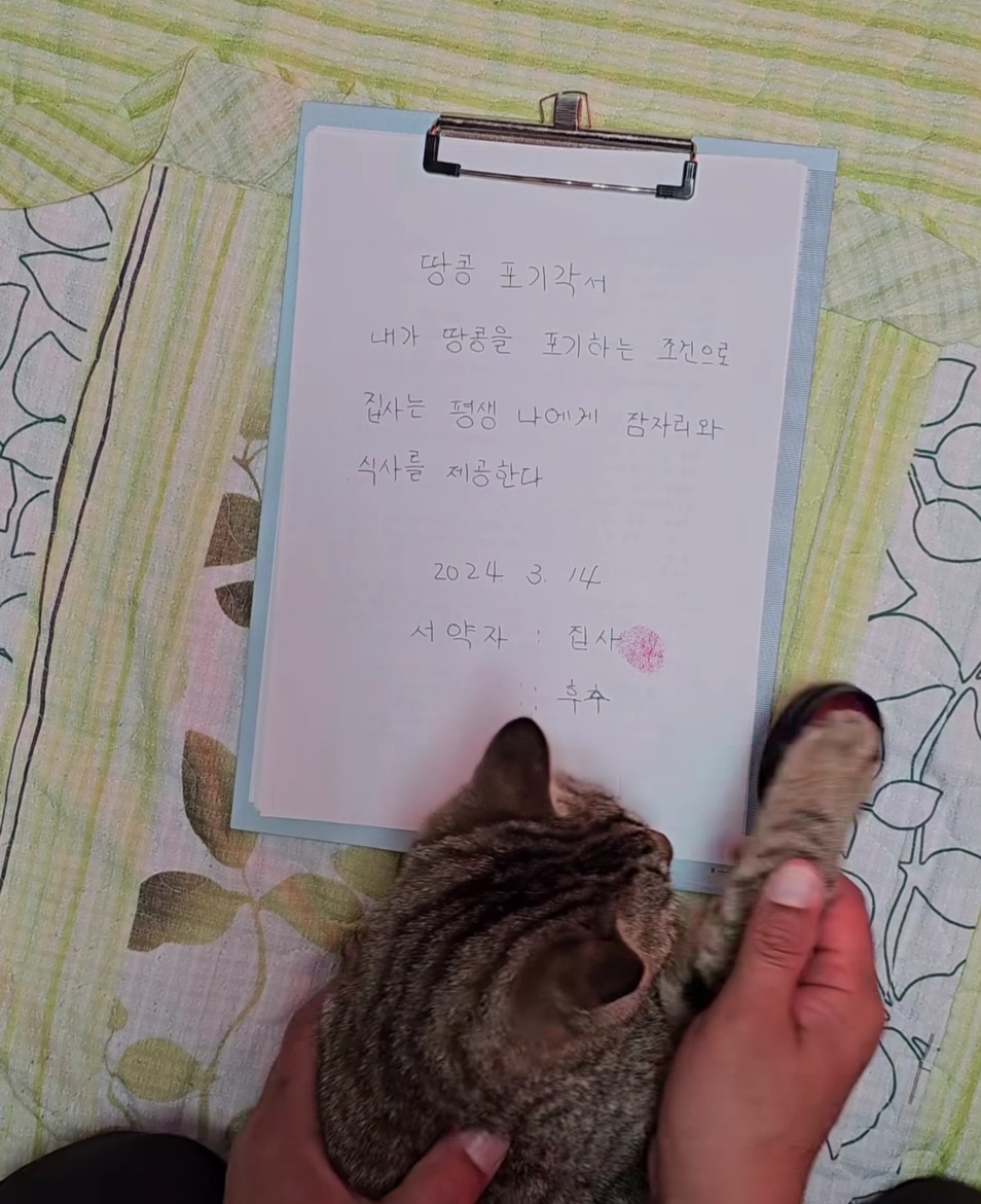 강제 포기각서 체결 - DPrime