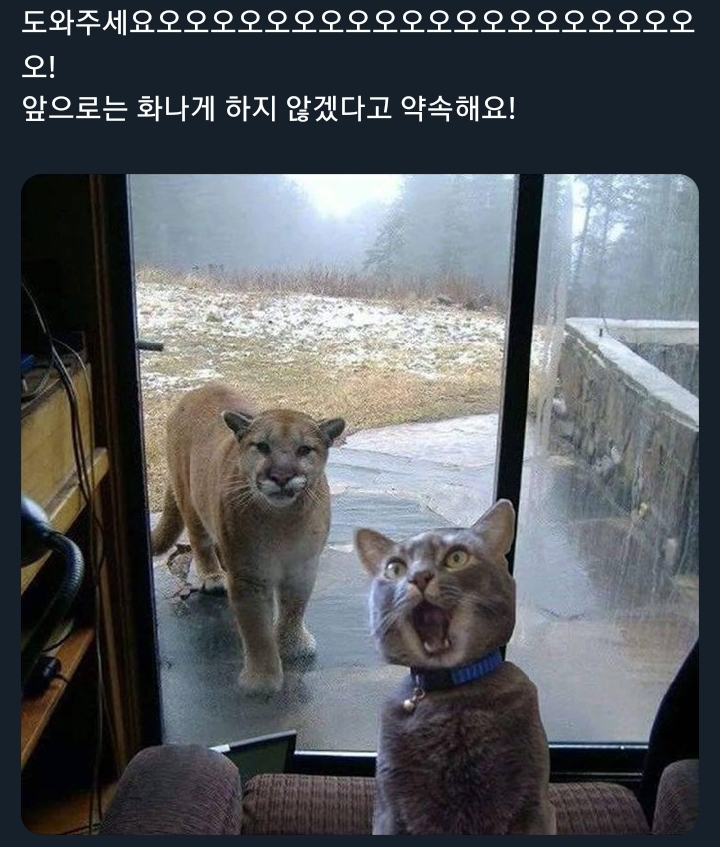 나죽는 다~옹!!!!!!? - DPrime