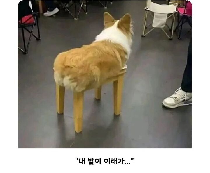 나 좀 도와주이소~ - DPrime