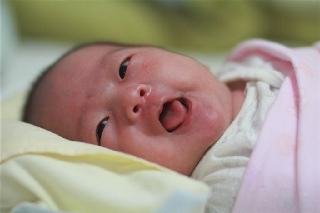 2011년 제85회 키네마 준포 베스트 10 - DVDPrime