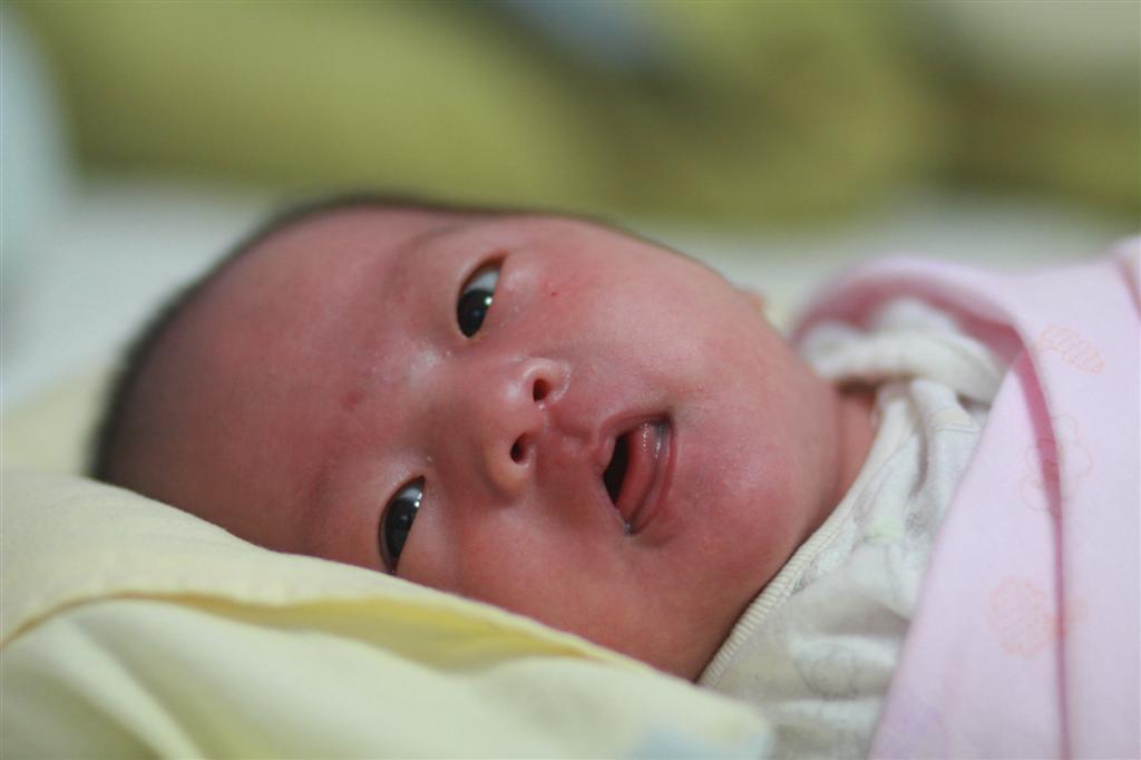 2011년 제85회 키네마 준포 베스트 10 - DVDPrime