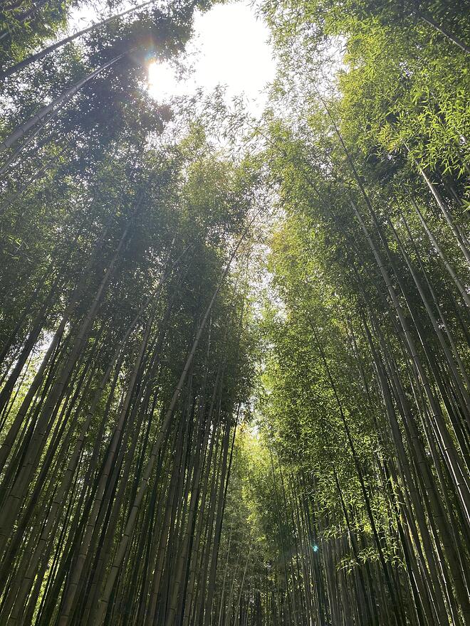 제일 위에 두군데 찍기~ - DPrime