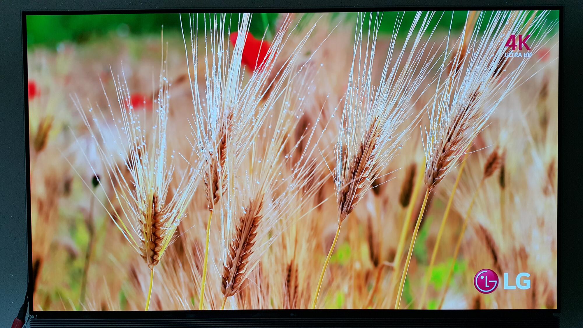 4K영상 이미지(애니메이션 직스샷 추가) - DPrime