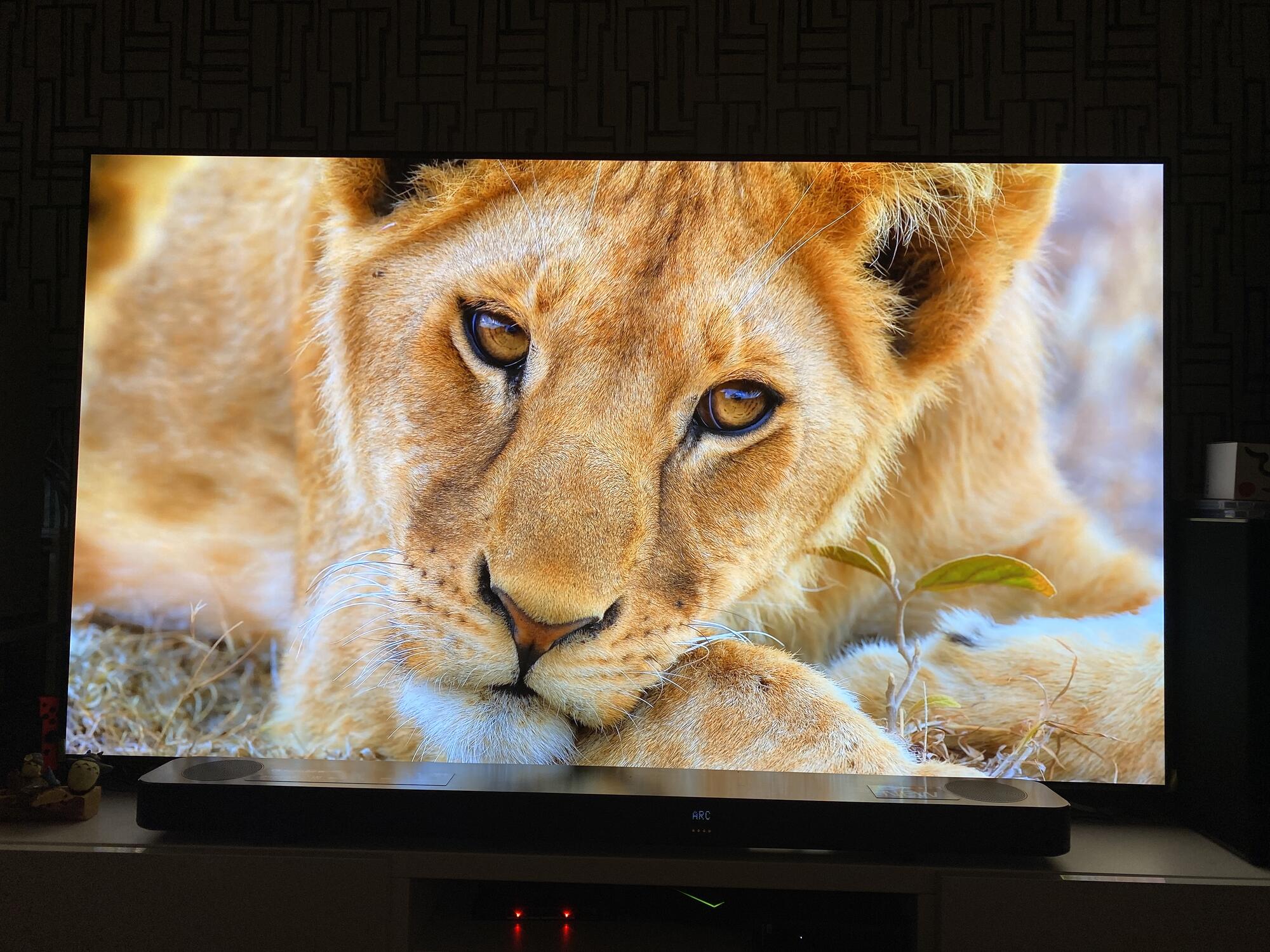 lg 65cx oled tv 사용후기 - DVDPrime