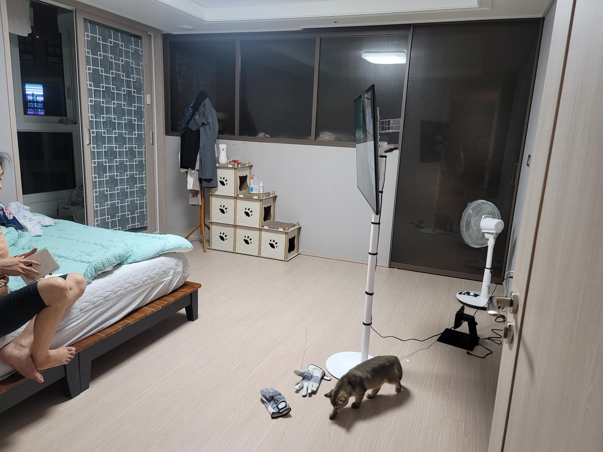 생각보다 만족스러운 M7 S43BM700 - DVDPrime