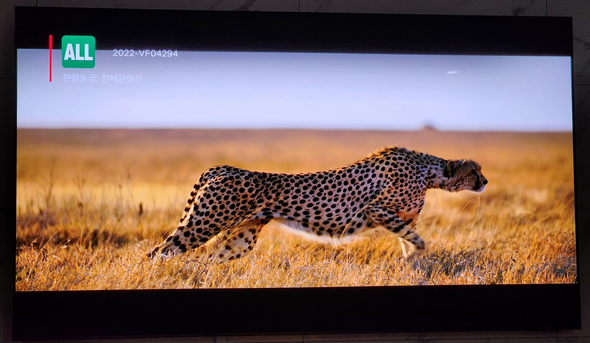 77SC95 설치했습니다!! - DVDPrime