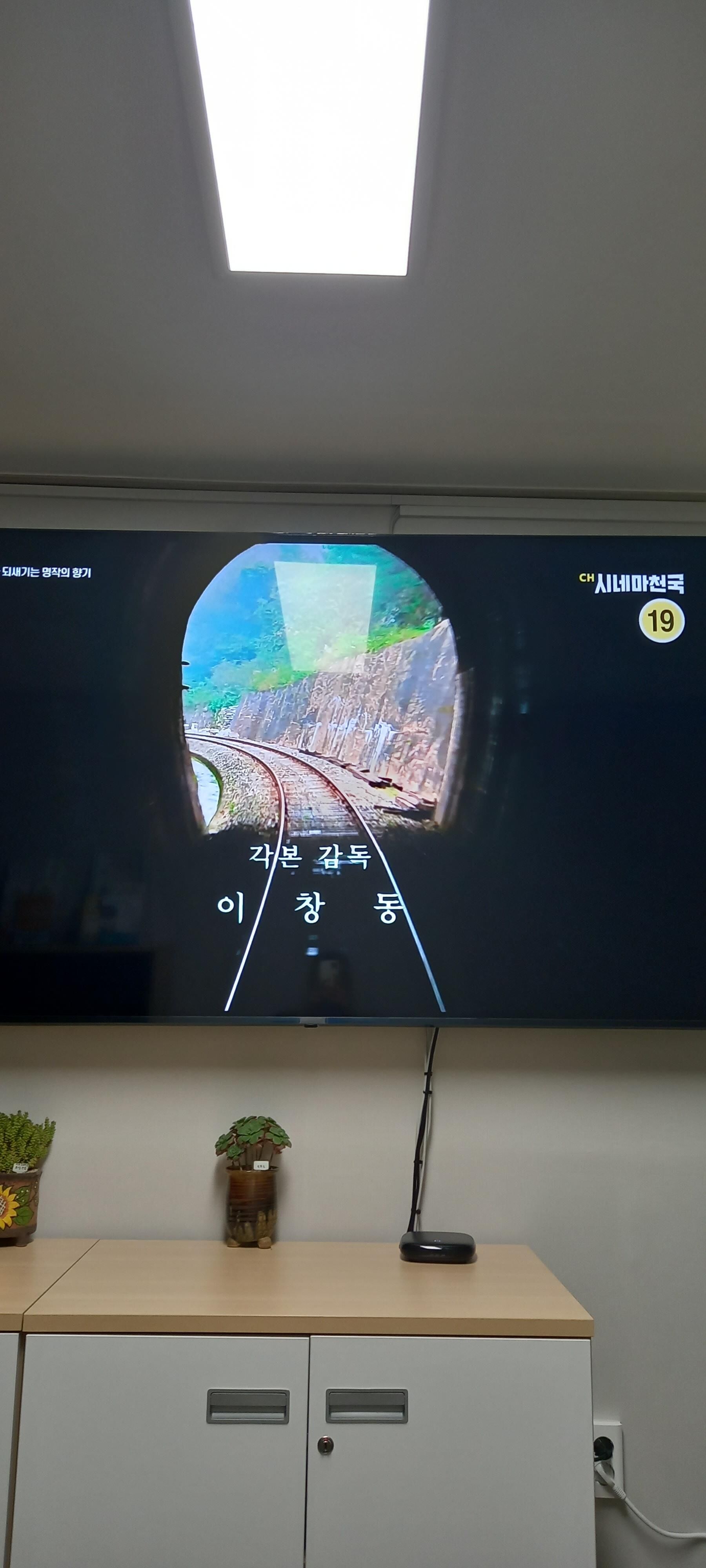 일본 여배우 순위 100 - DVDPrime