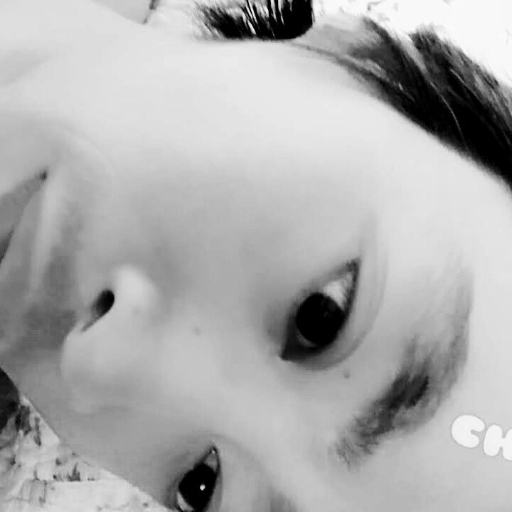 현재 역대 일본 개봉영화 흥행랭킹 50 - DVDPrime