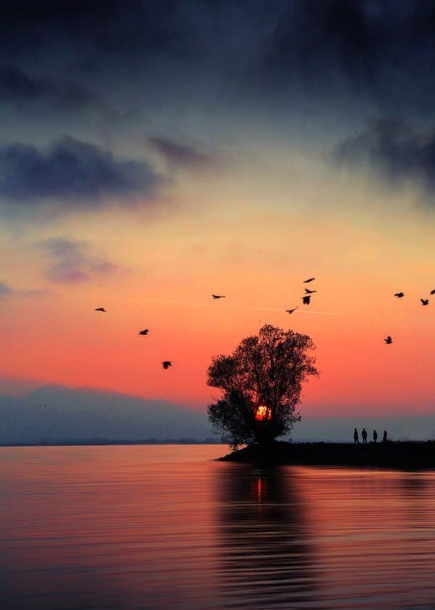 상어 영화 TOP 3 - DVDPrime