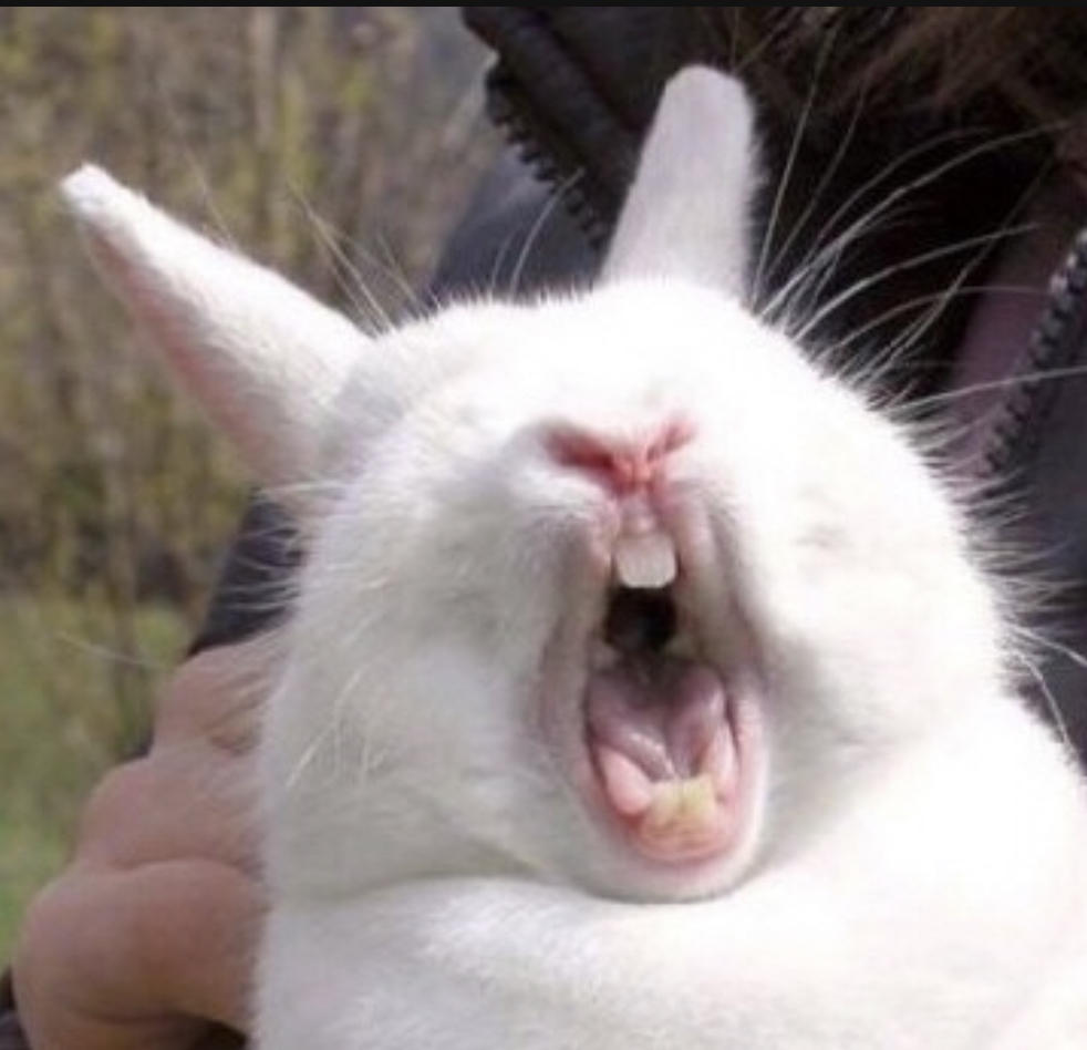 엔비디아가 GPU 26만장을 한국에 우선공급하는 이유 - DVDPrime