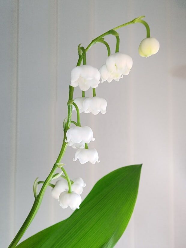 [경제 공부] AI 투자 전략 - DVDPrime