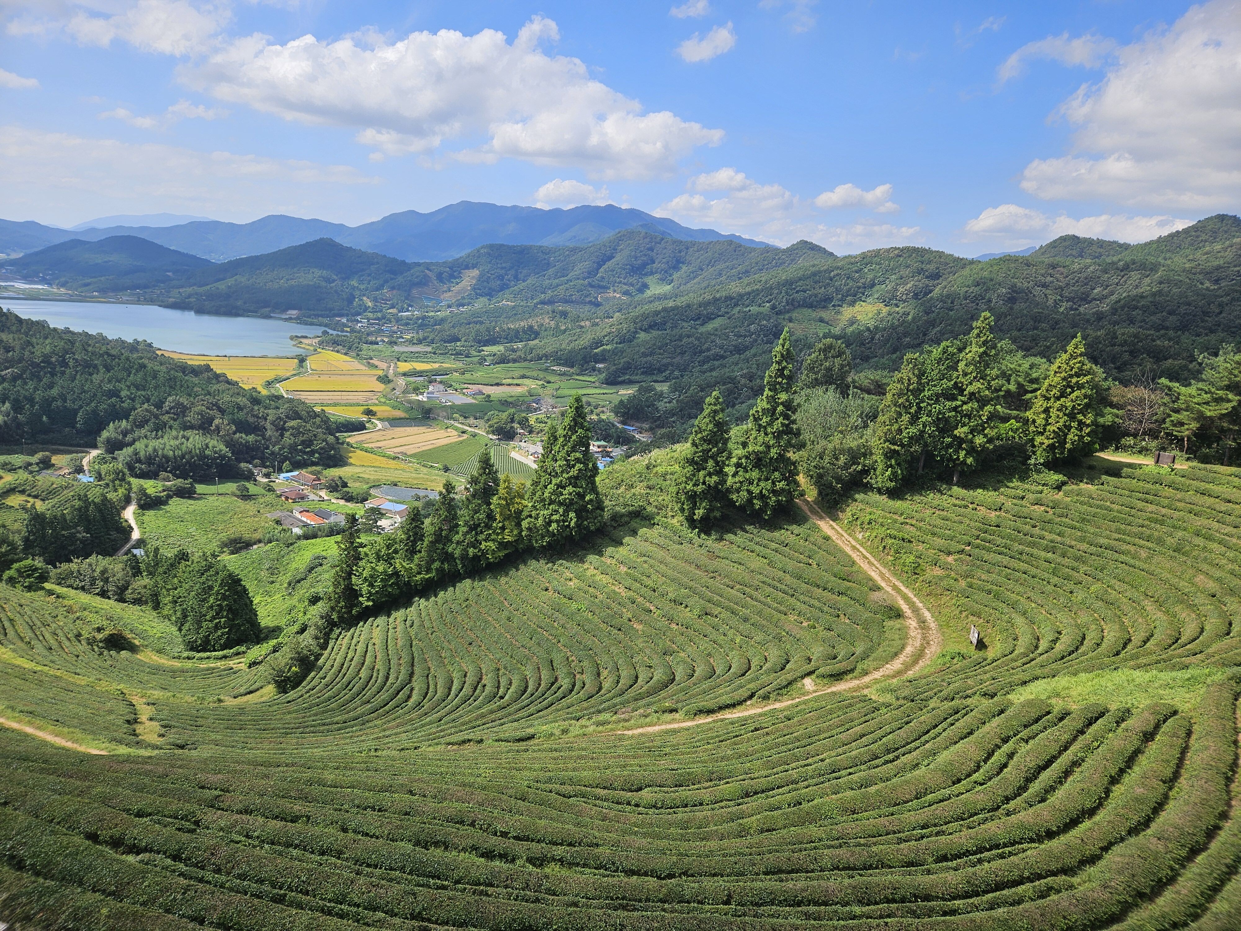 유진 : 아빠 닮은 DC히어로 발견~~ - DVDPrime