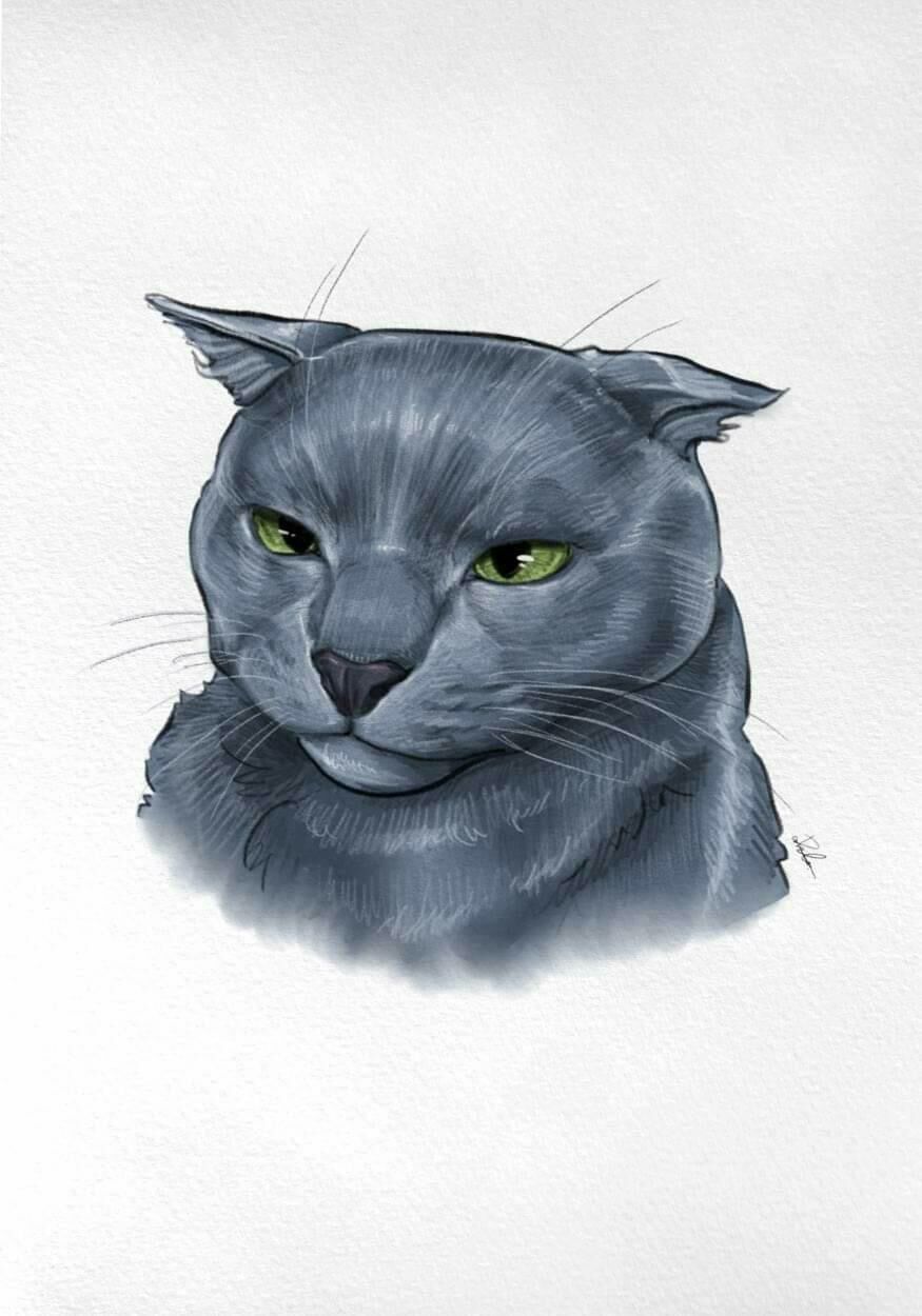 [F1] 4DX로 2회차 뛰러 왔습니다 :) - DVDPrime