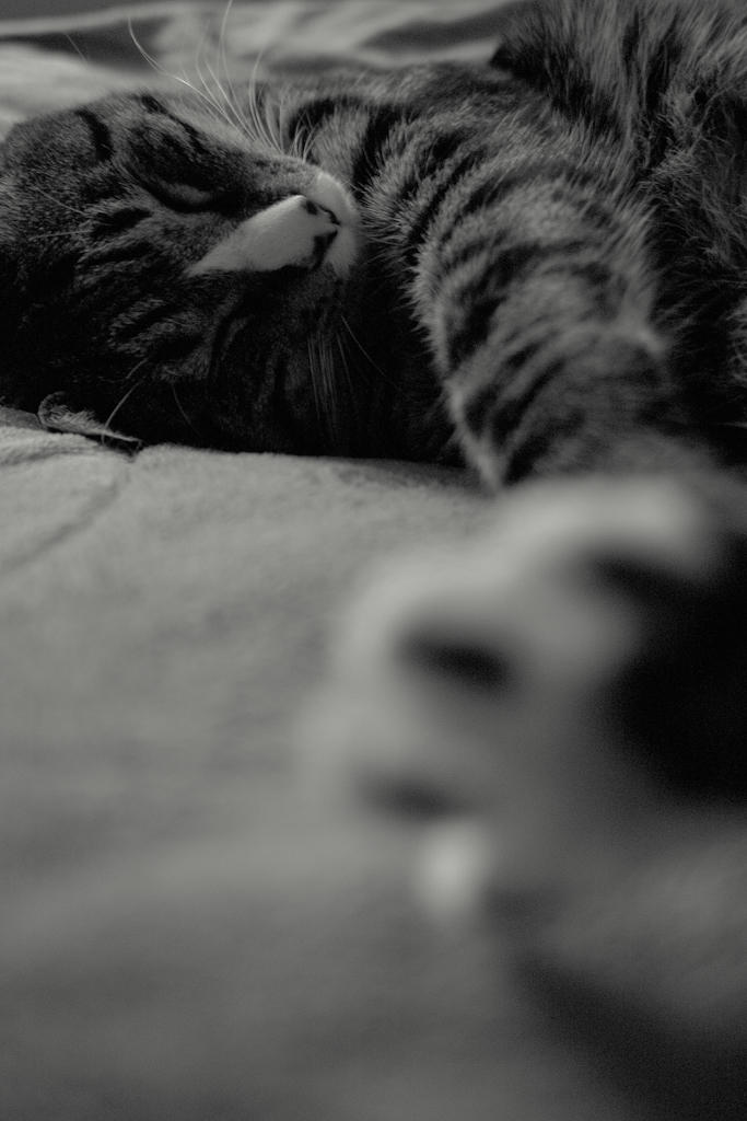 [잡담] 지름신고(5070TI 시스템 구축기) - DVDPrime