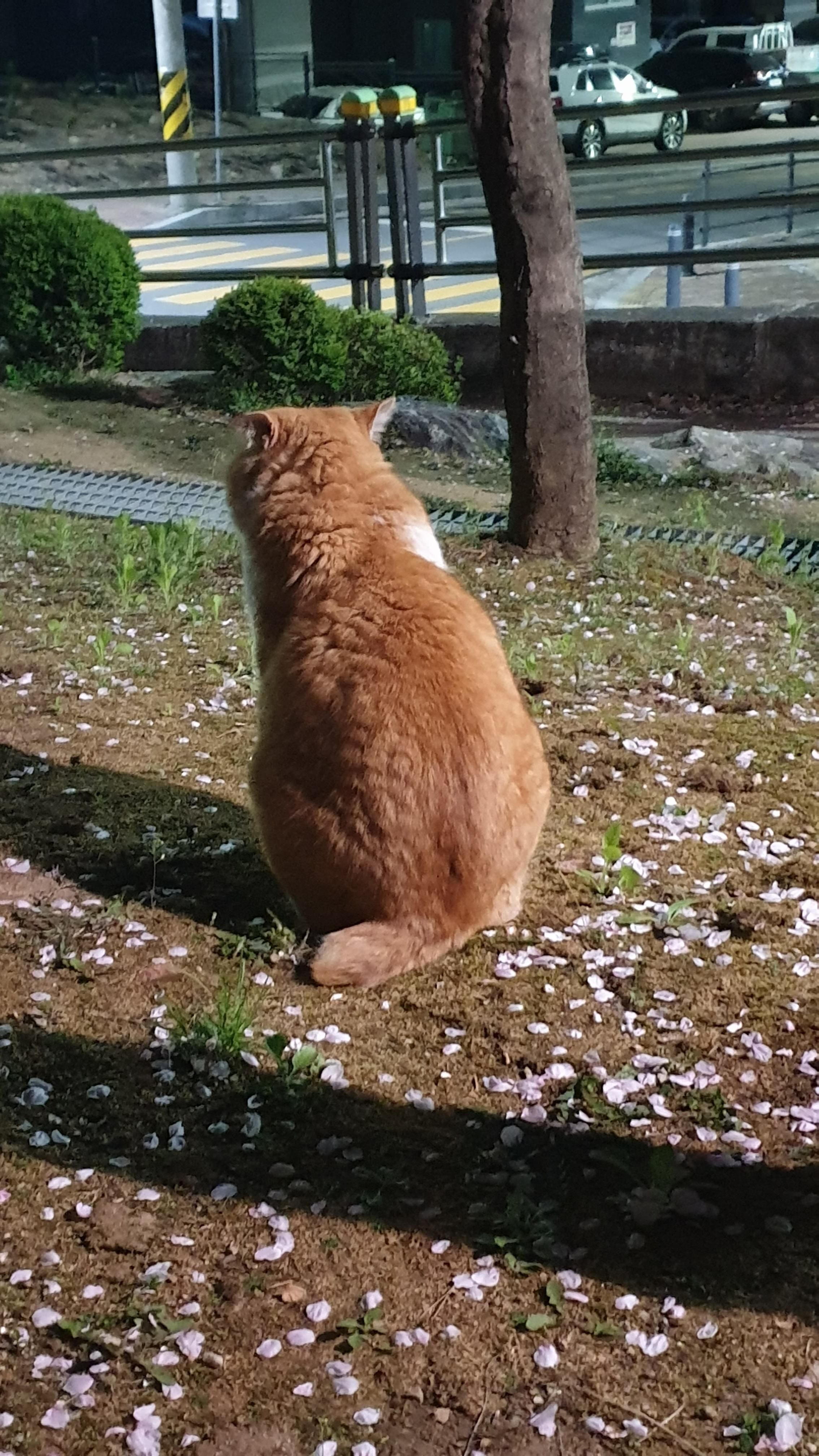 [단독]MBC 건희 경호처에 질책 '총 갖고 다니면 뭐 하냐‥' - DPrime