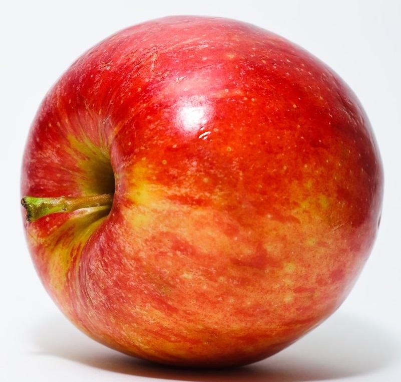 [펌] 주간 경향 근황 - DVDPrime