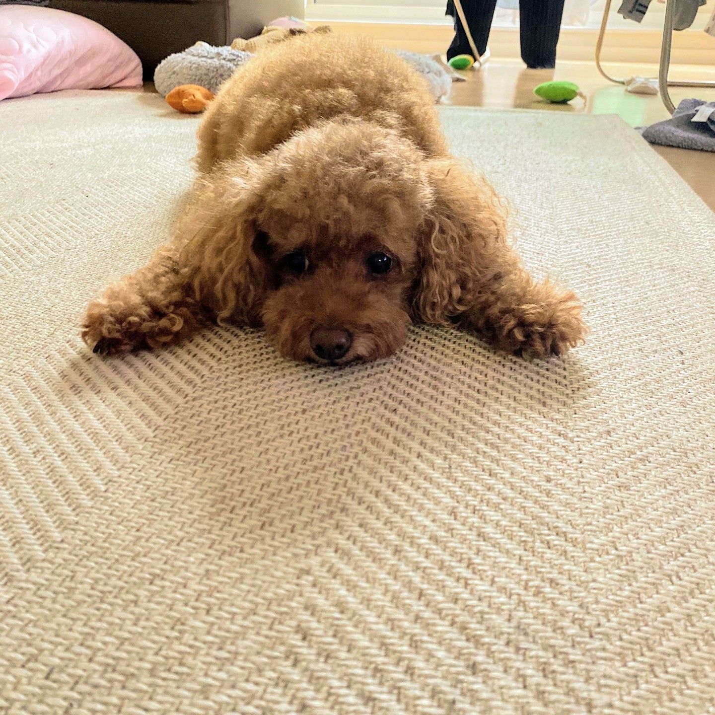 미니LED 티비도 화질이 아주 좋군요 - DPrime