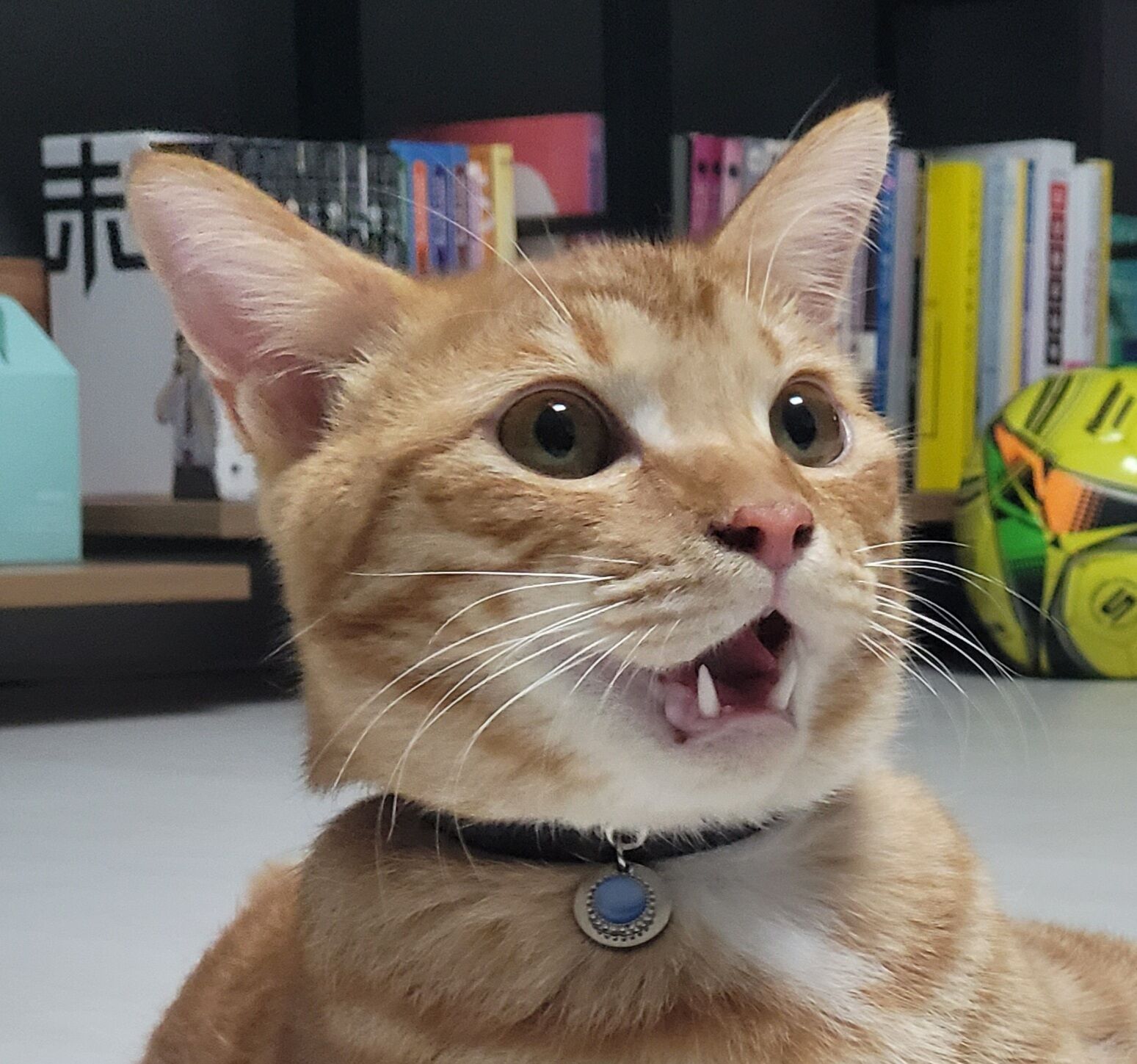 드론(?)사출하는 트레일러 - DVDPrime