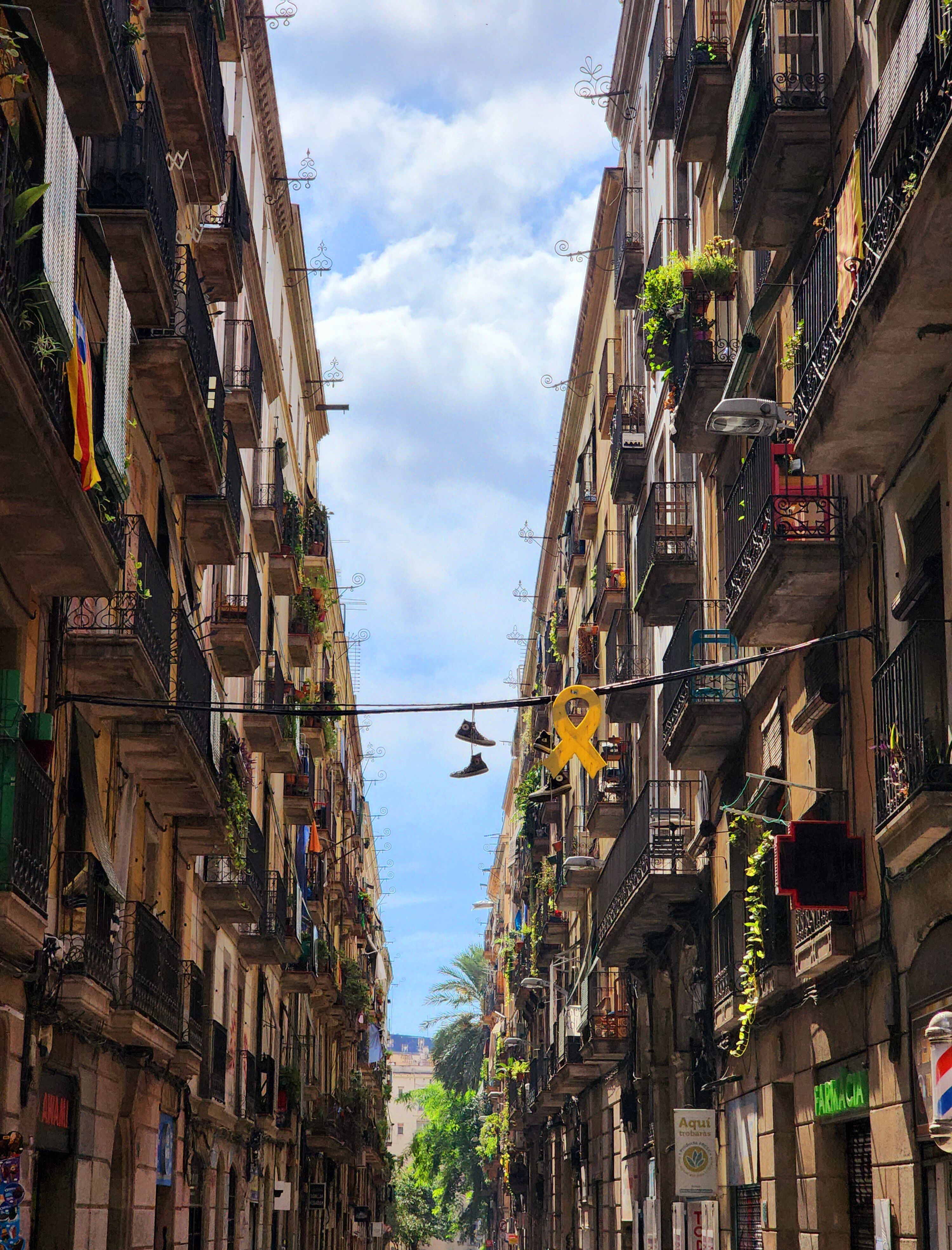 TCL 75 c755 취소해야겠네요ㅜ - DPrime