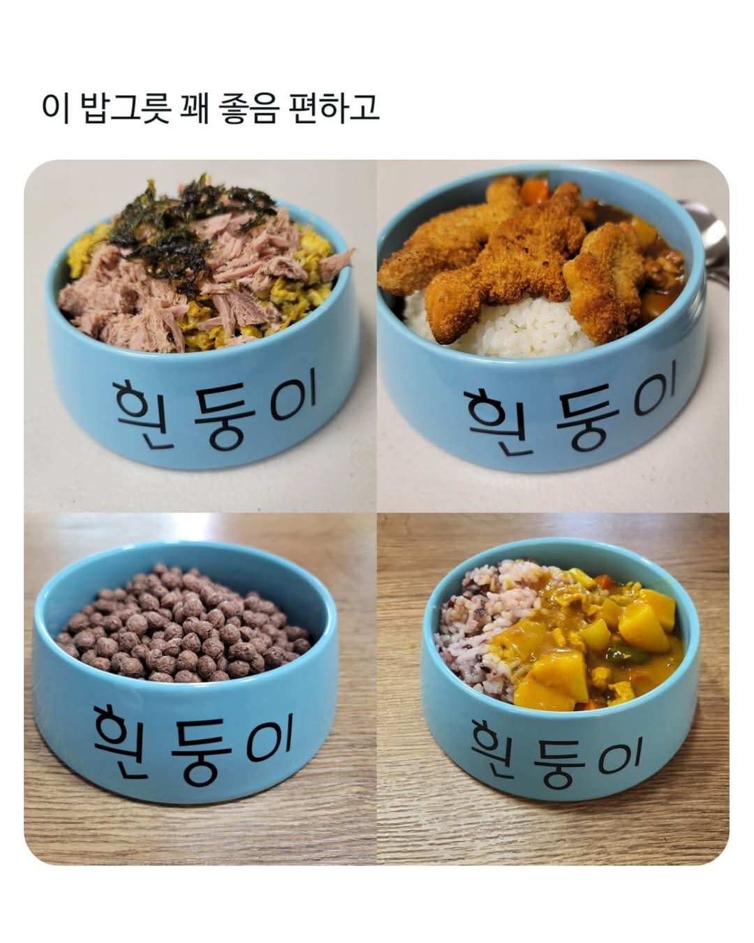 엄마가 이 그릇 좀 그만 쓰라고 화냄 - MANIA