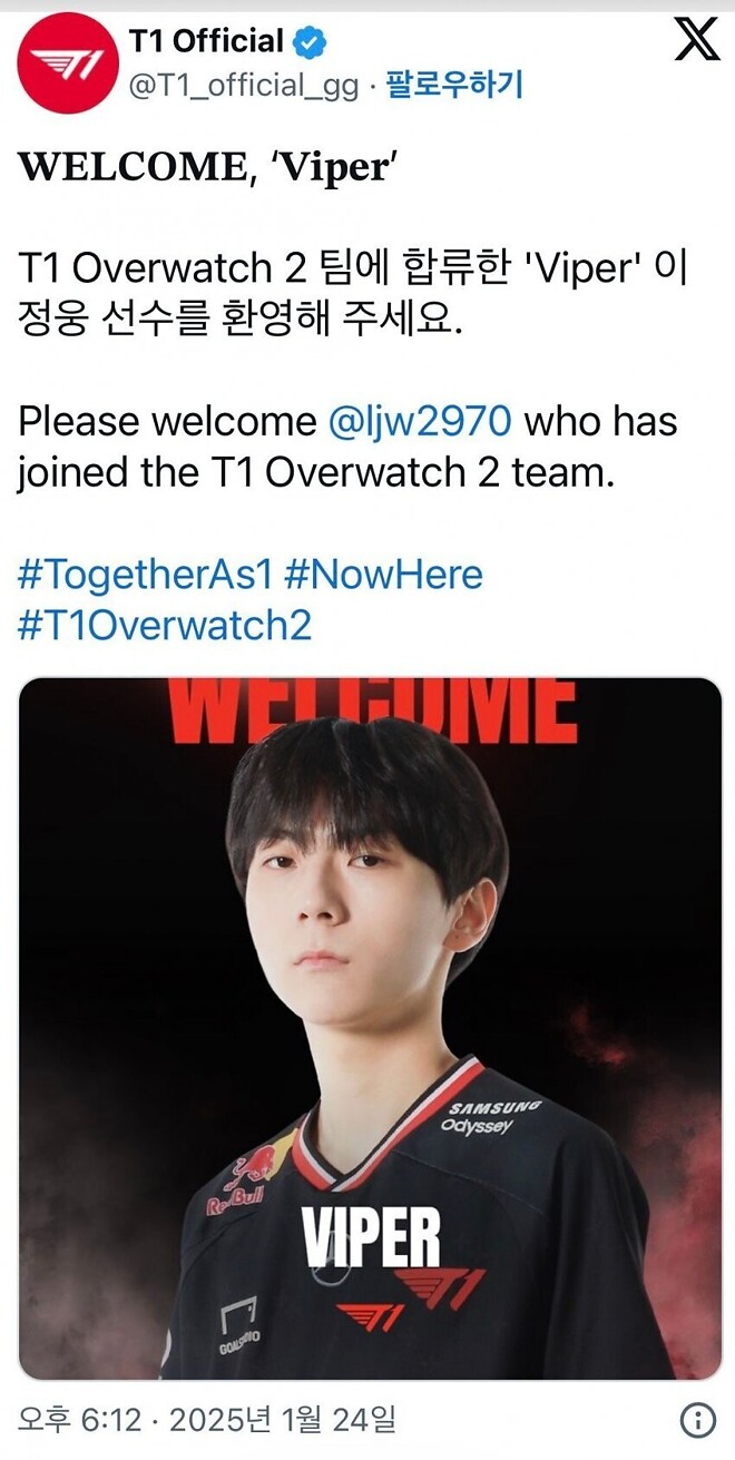 Official T1 'Viper' - MANIA