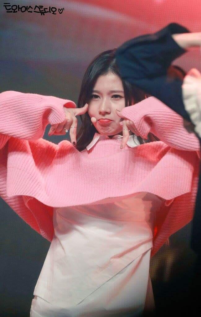 [트와이스] 볼살을 회복한 사나 - NBA Mania