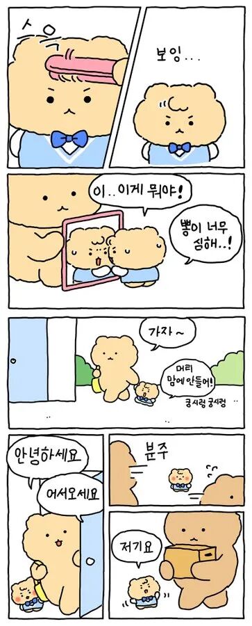 증명사진을 찍다 - MANIA